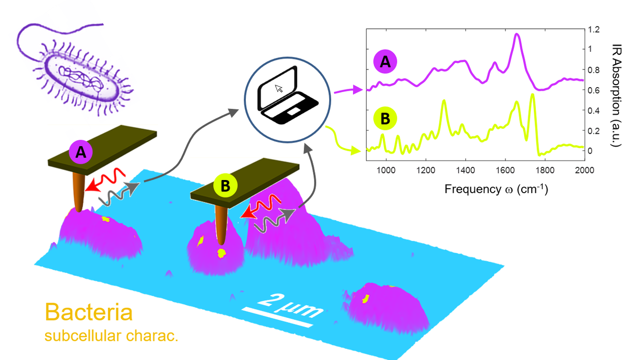 Chemical characterization | CIC nanoGUNE