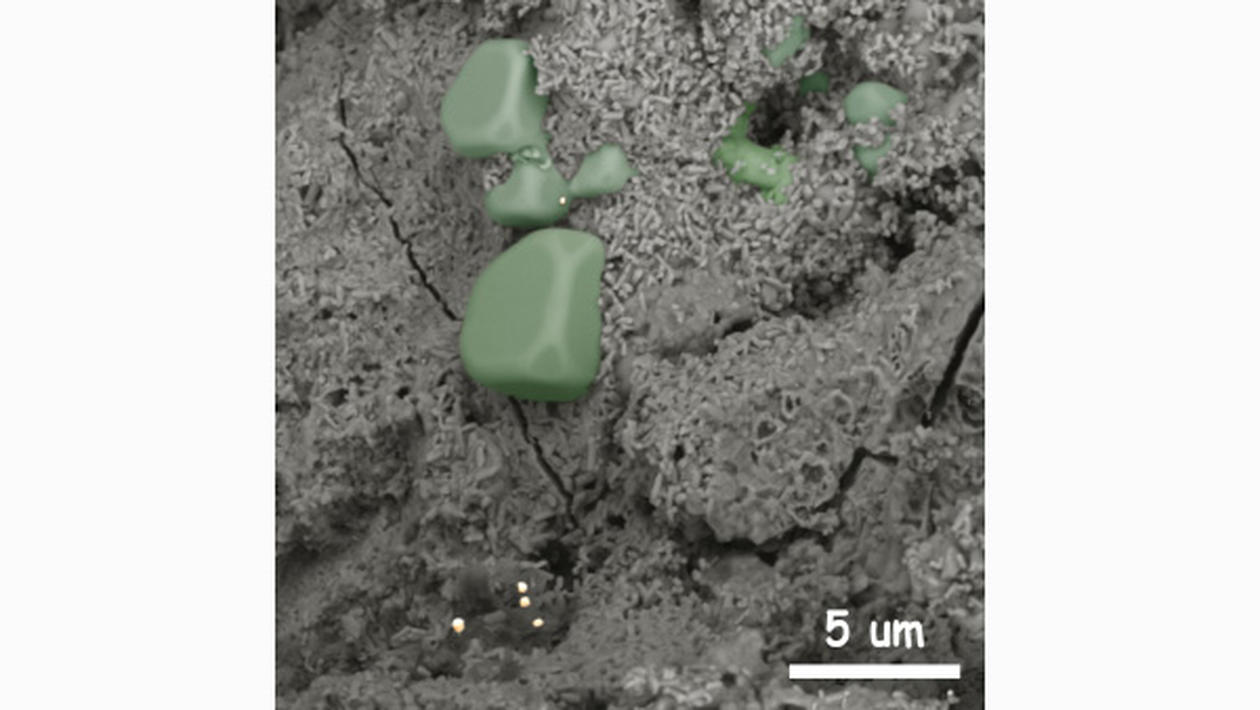 Surface morphology | CIC nanoGUNE Surface morphology | CIC nanoGUNE